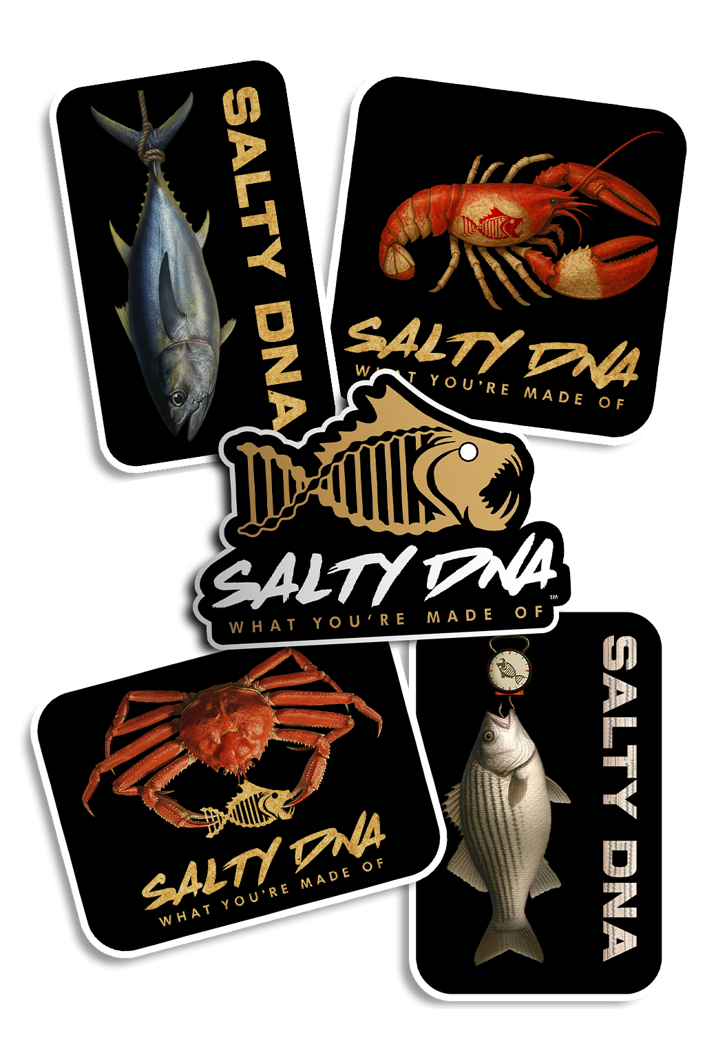 Salty DNA® | Hoodies, Tees & Hats – Free Ship $200+, Canada & US
